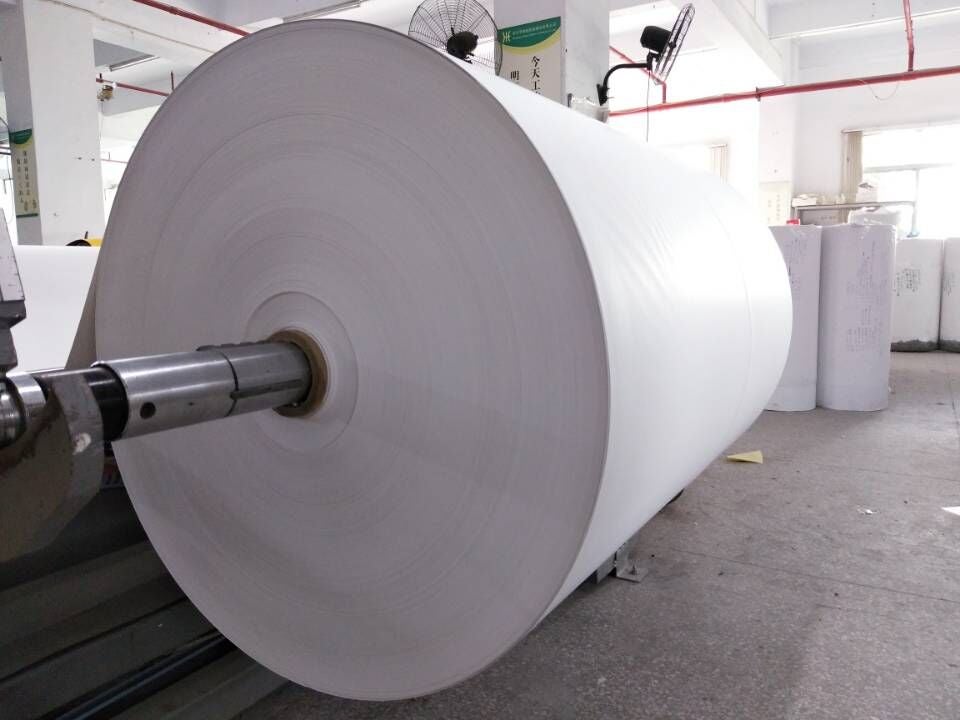 Blank White Eggshell Sticker Paper Material in Rolls – Fancyprint